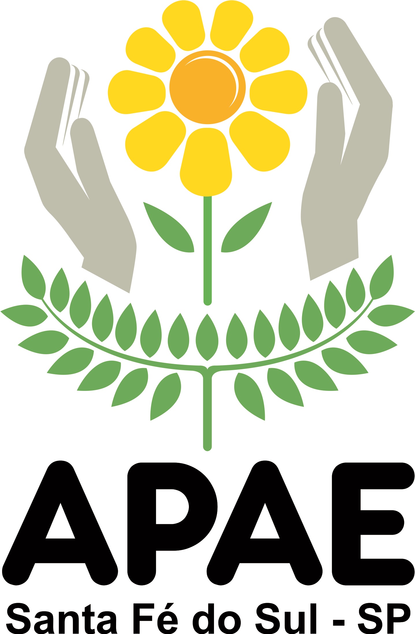 Apae Santa Fe Do Sul